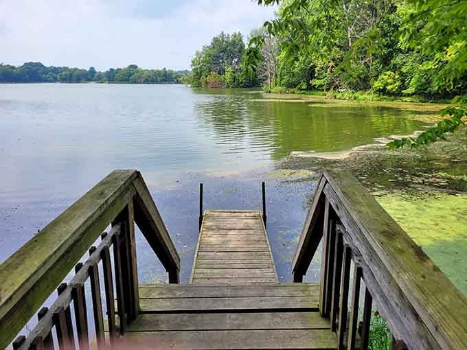 A wooden dock leading to calm waters is basically an invitation to forget your phone exists.