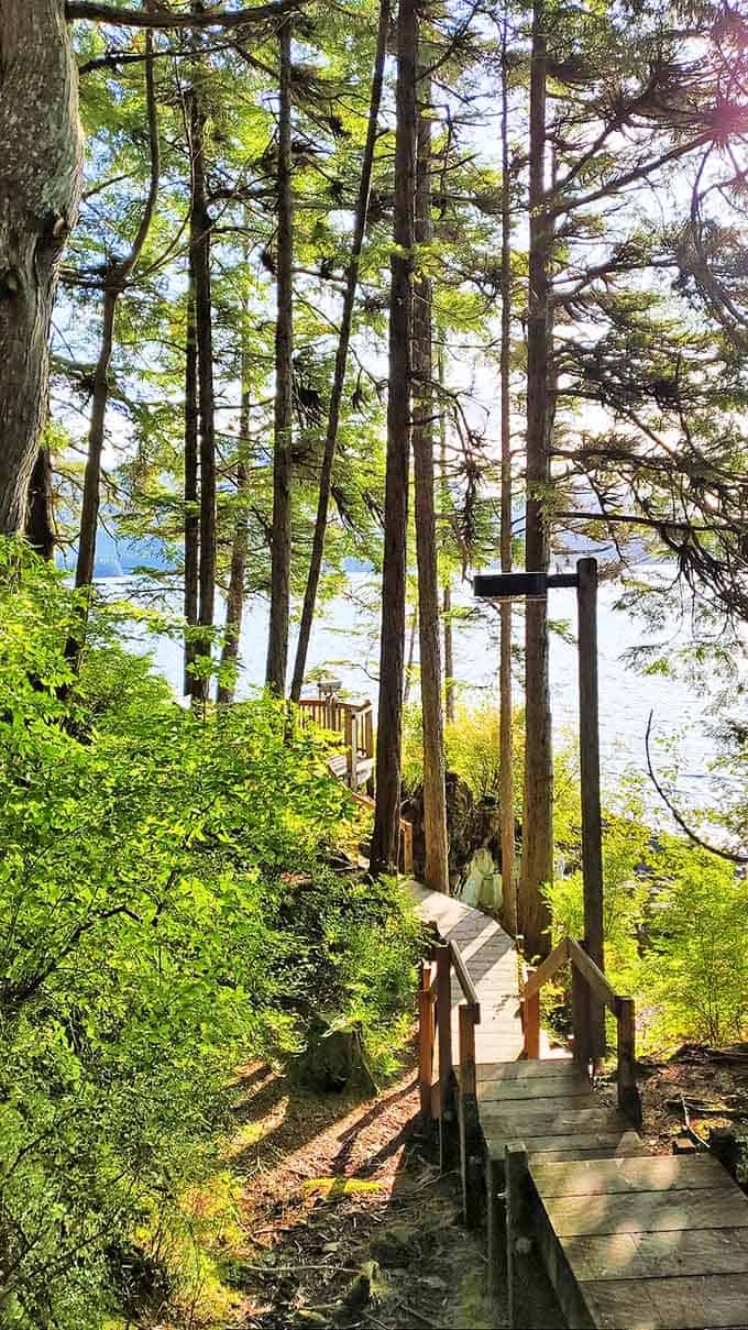 Wooden boardwalks lead through towering spruce trees to waterfront vistas, proving the best views in Alaska require a little legwork.