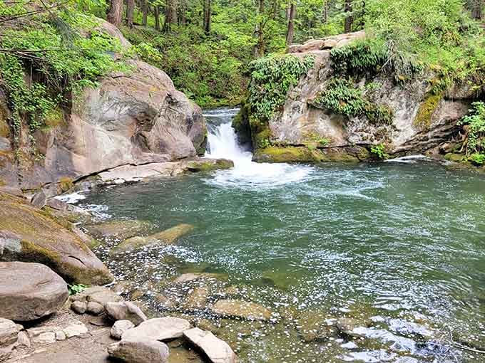 Whatcom Creek knows exactly where it's going, even if the rest of us are just along for the ride.