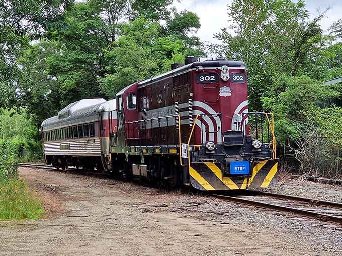 All aboard nostalgia! The Winnipesaukee Scenic Railroad's crimson engine promises views that no highway could ever deliver.