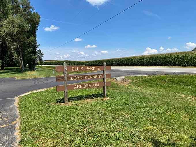 Ellis Park sits quietly waiting, like that friend who's always ready for a picnic at moment's notice.