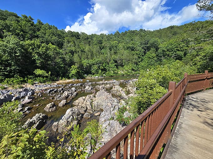 Nature's observation deck comes complete with rustic railings and the kind of view no penthouse in Manhattan could ever hope to match.