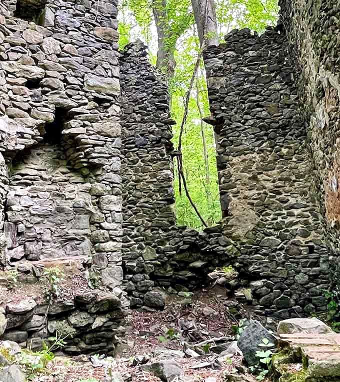 Indiana Jones would approve of these ancient stone ruins, where history and nature play a centuries-old game of tag.