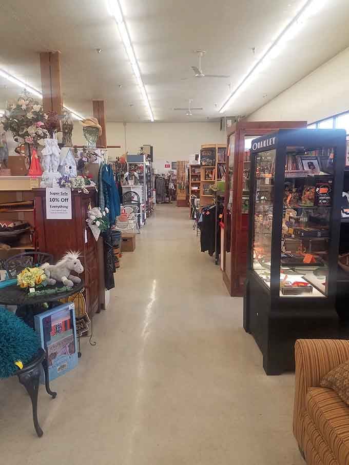 Treasure hunting down aisles that seem to stretch into infinity. Each booth is someone's carefully curated collection of memories.