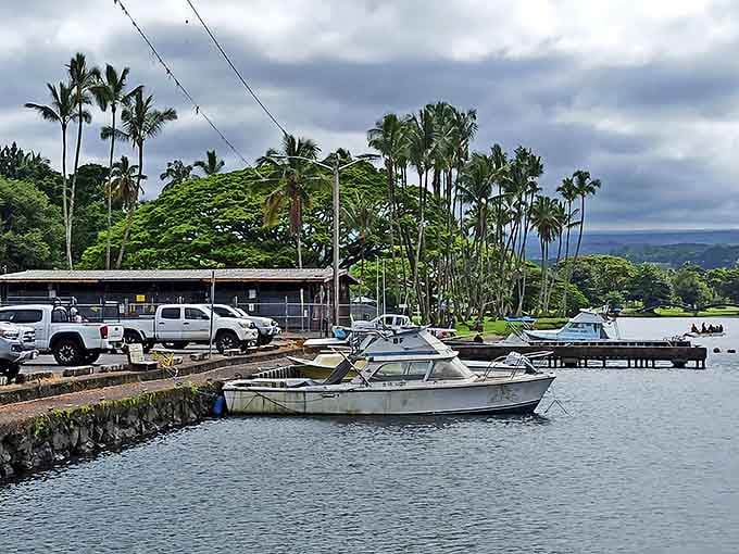 Hilo's small boat harbor offers a perfect blend of working waterfront and tropical paradise, where fishing boats nestle among palms.