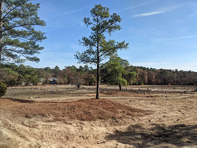 The unassuming field where dreams are buried just inches below the surface. Doesn't look like much until you find your first sparkler.