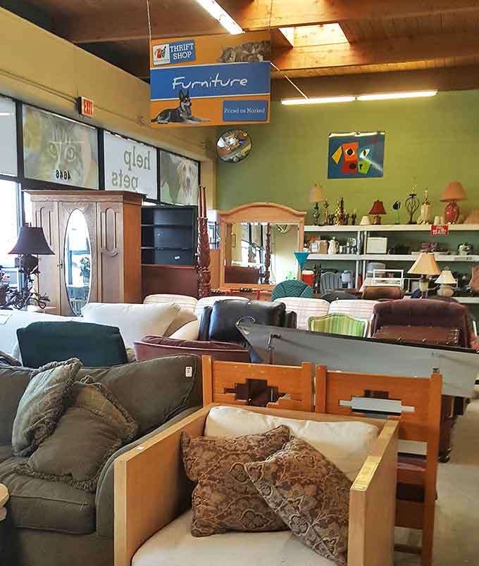 Furniture that tells stories. That southwestern-style headboard might have witnessed decades of New Mexican sunrises before landing here, ready for its next chapter.