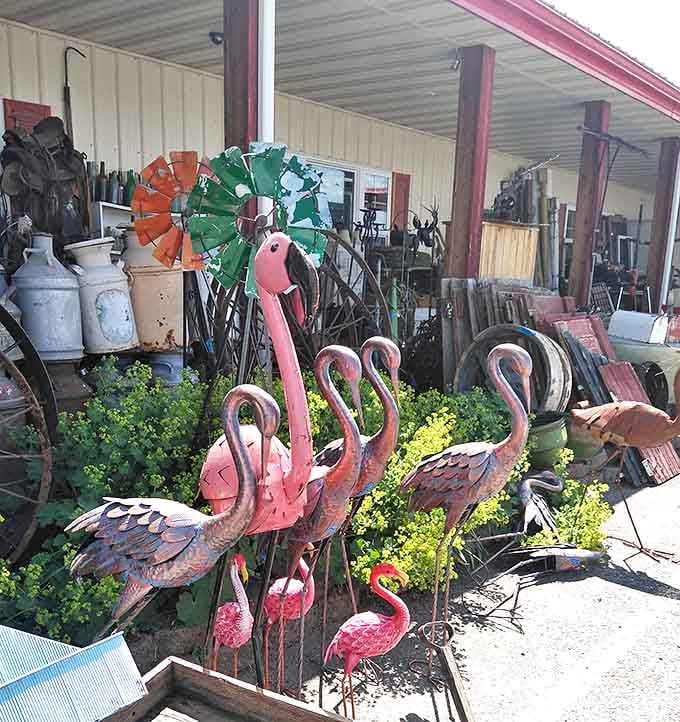 A flock of metal flamingos stands guard outside, proving that even in Montana, a little Florida kitsch finds its way into western hearts.