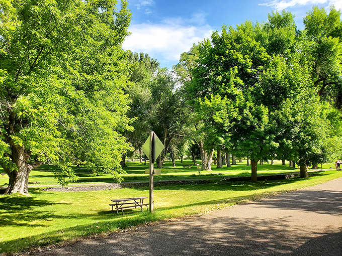 Picnic paradise found! These shaded tables are nature's dining rooms, no reservation required.