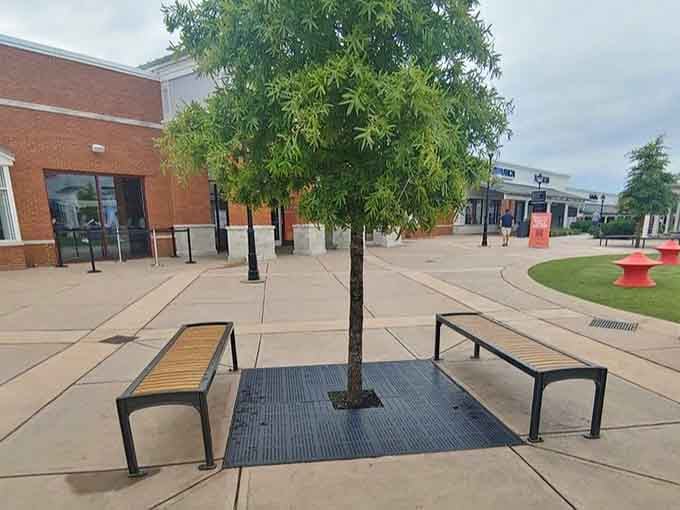 Benches strategically placed for weary shoppers and patient spouses who've reached their browsing limit for the day.