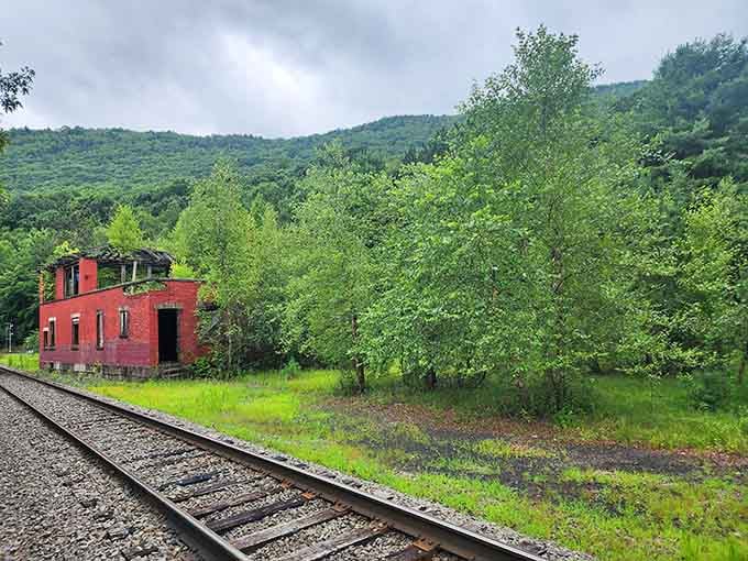 This old railroad track has retired from hauling coal to hauling memories. Steel and timber repurposed into a pathway for modern adventurers seeking simpler pleasures.