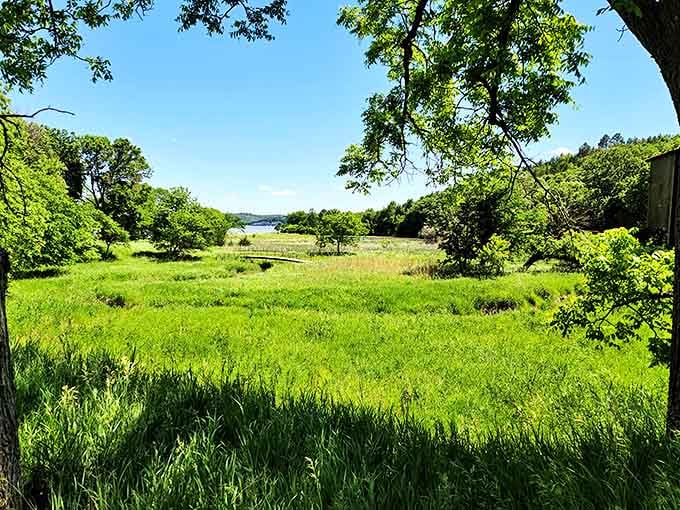 This verdant meadow leading to the lake is Mother Nature's version of a front yard&mdash;except the neighbors are deer and the swimming pool is 31,400 acres.