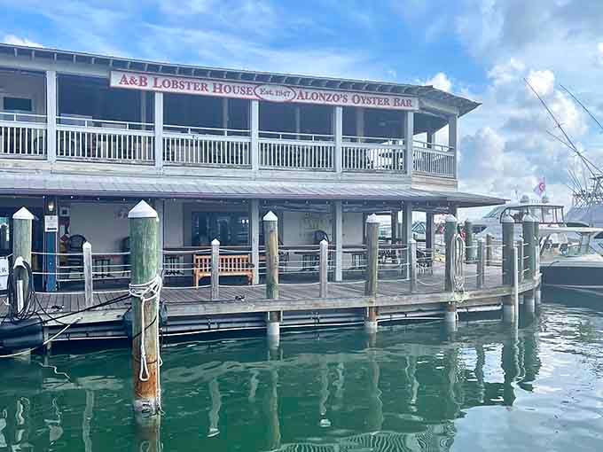 Alonzo's waterfront setting combines two of life's greatest pleasures: watching boats and devouring impossibly fresh seafood.
