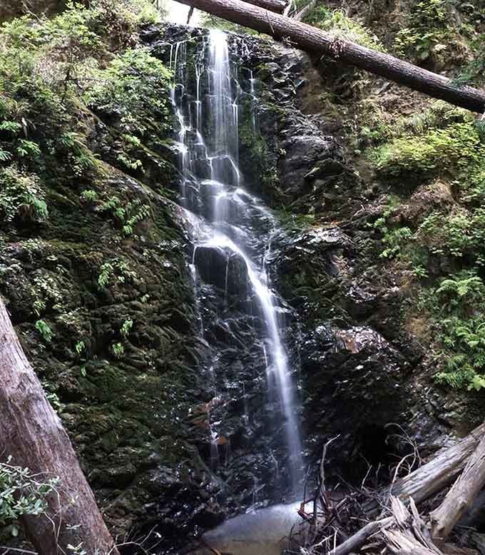 This forest waterfall ribbons down dark rock like silk threads, creating patterns that change with every passing moment here.