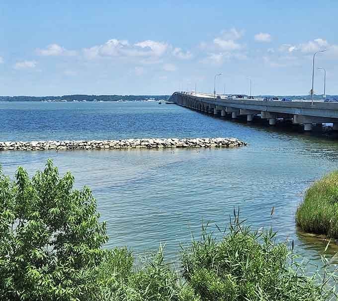 Where the bay meets the sky, this bridge stretches toward the horizon like a concrete promise of adventure.