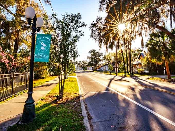 Sunlight filters through Spanish moss like nature's own spotlight, welcoming you to discover what lies ahead.