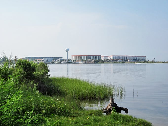 Fort Walton Beach's emerald waters shimmer like liquid jewels, proving that paradise comes in budget-friendly packages too.