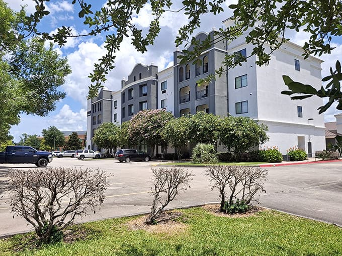 Modern apartment living in Houma doesn't break the bank&mdash;proof that comfort and affordability can share the same address.