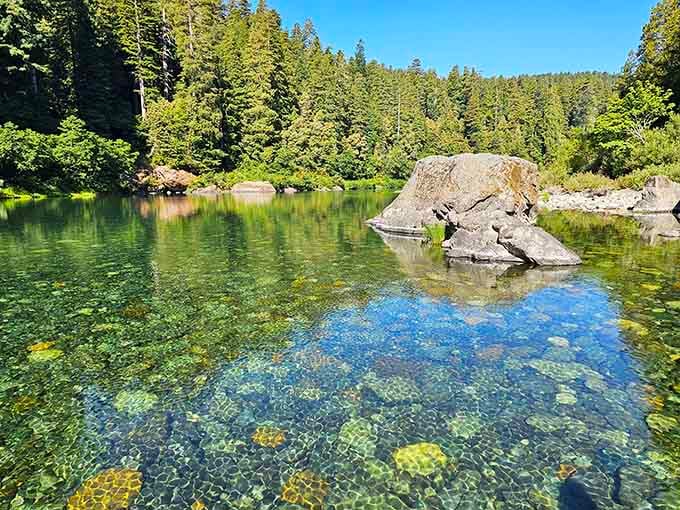 Water so clear you can count every pebble on the bottom, surrounded by emerald forests that smell like pure oxygen.