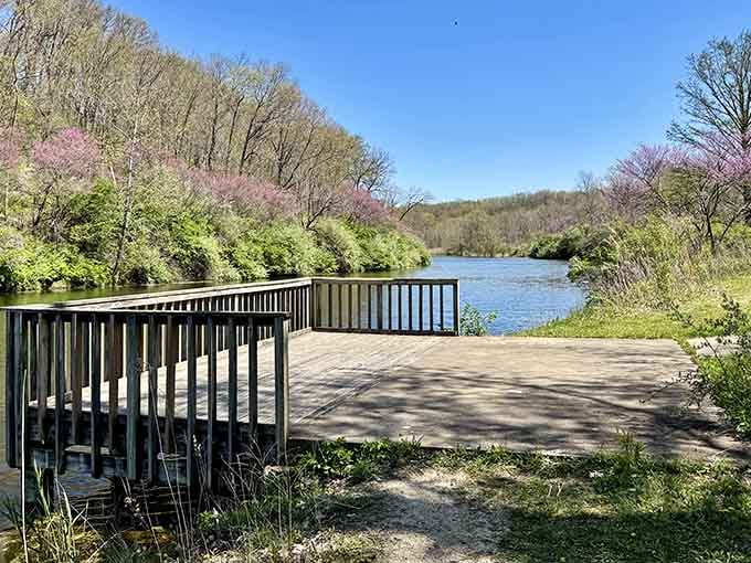 This peaceful wooden deck overlooking calm waters offers the perfect spot for morning coffee and quiet contemplation.