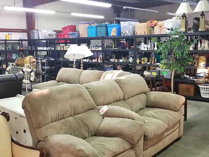 That plush tan sofa looks ready for movie marathons, surrounded by shelves packed with household treasures galore.