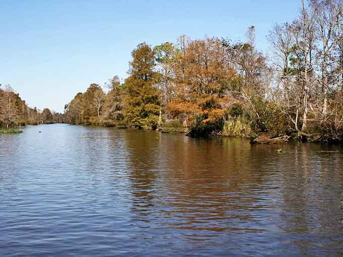 Autumn paints Sandy Island's waterways in warm amber tones, where cypress reflections create mirror images of pure Southern magic.