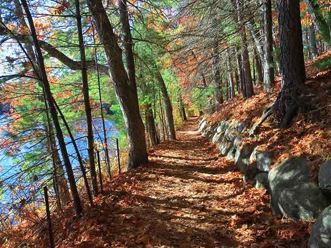 Fallen leaves carpet this waterside trail in copper and gold, crunching underfoot like nature's own welcome mat.
