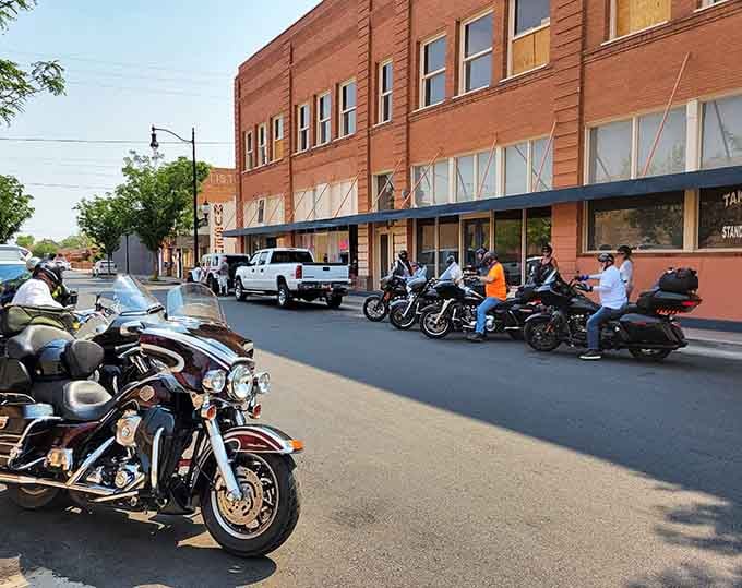 Motorcycles lining Main Street like chrome horses at a hitching post, bringing that Easy Rider energy to town.