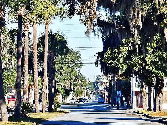 Palm trees line Brunswick's streets like nature's welcome committee, inviting retirees to enjoy coastal living without coastal prices.