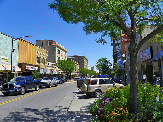 Downtown flowers bloom cheerfully along sidewalks where window shopping remains a guilt-free pleasure for everyone always.