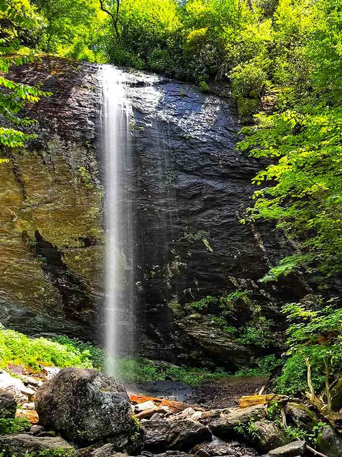 The narrow plunge creates its own microclimate, where mist meets moss in a perpetual dance of green.