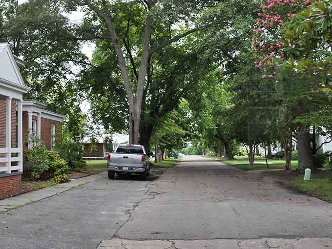 Tree-lined streets stretch peacefully ahead, inviting leisurely strolls where the journey matters more than the destination itself.