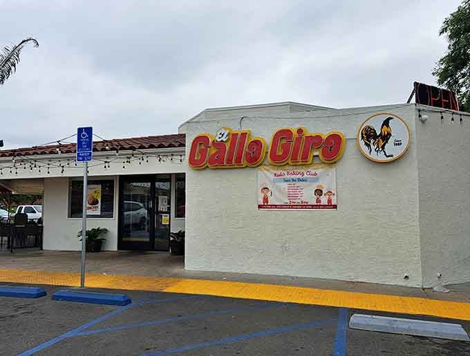 That iconic rooster knows what's up! El Gallo Giro's vibrant sign has been beckoning hungry folks for a reason—tortillas that could make a grown adult weep.