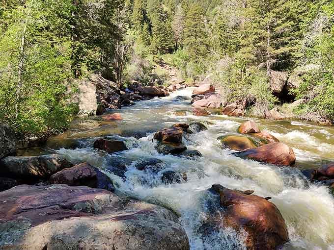The creek rushes over smooth boulders with that satisfying sound of mountain water doing what it does best naturally.