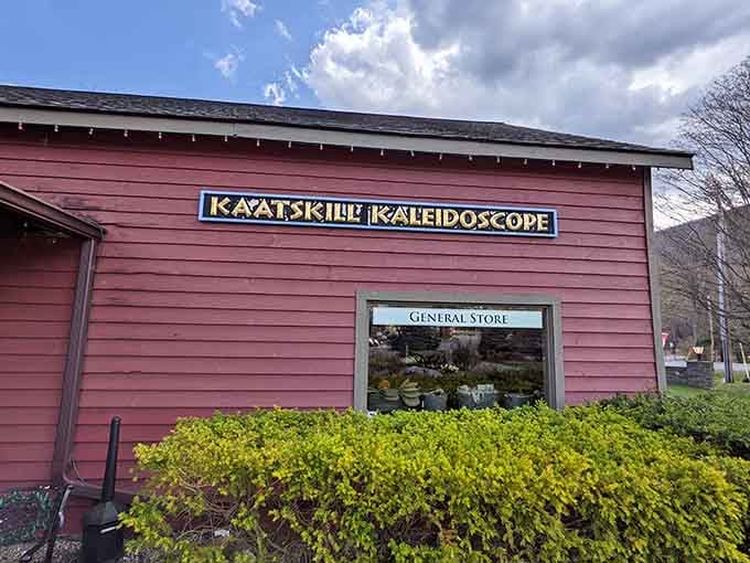 The rustic barn-style exterior gives no hint of the swirling visual magic waiting inside those walls.