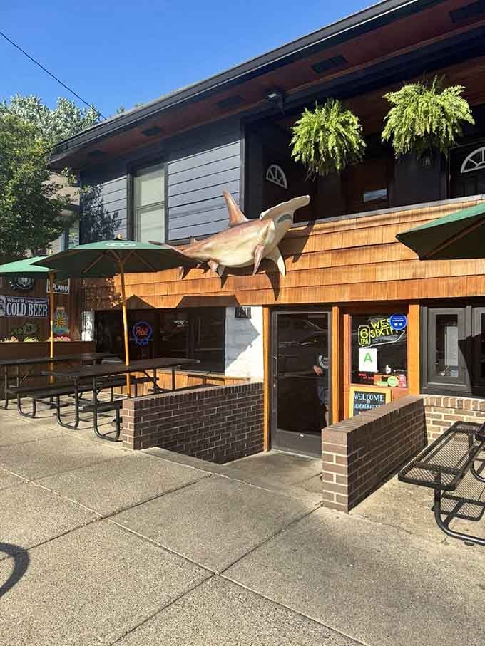 When a giant wooden shark greets you at the door, you know you're in for an adventure.