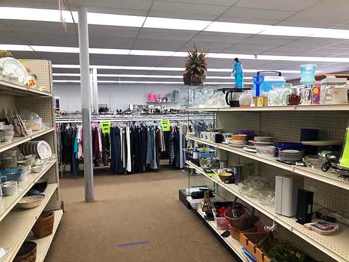 Shelves packed with glassware and household goods stretch toward the ceiling, offering everything from everyday dishes to collectible treasures.