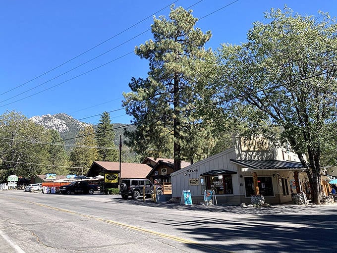 Idyllwild's charming village sits among towering pines, offering the rare combination of mountain air and decent espresso.