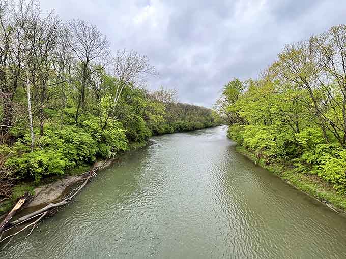 Winding waterways flanked by vibrant greenery prove that sometimes the journey really is more beautiful than the destination.