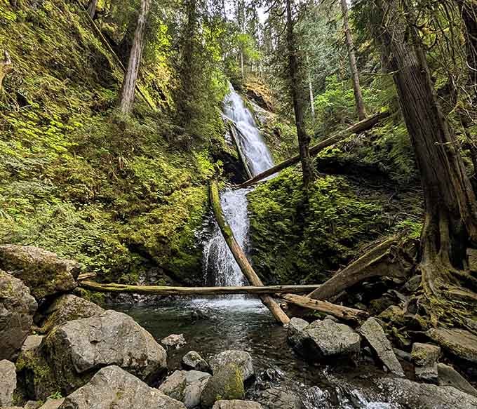 Ancient trees frame this hidden gem where water tumbles over moss-covered rocks into a perfectly serene mountain pool below.
