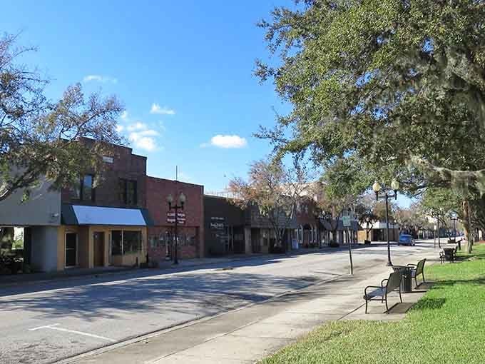 Mature oak trees provide natural shade along sidewalks where locals still greet each other by name and actually mean it.