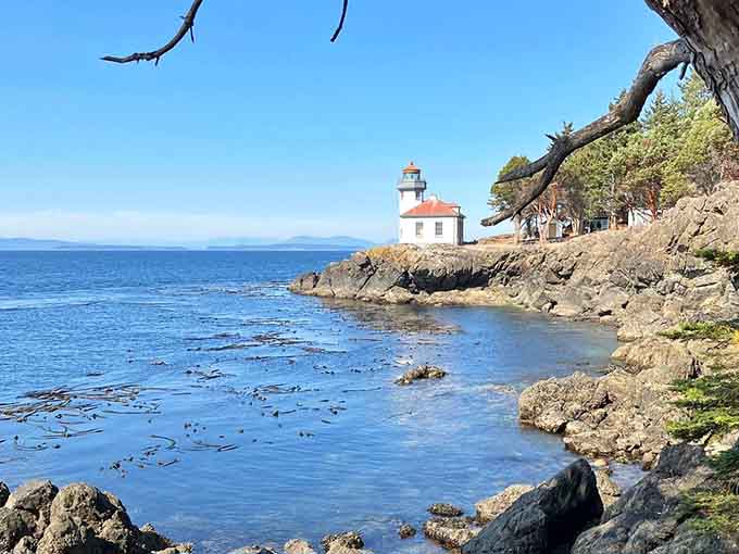 Rocky shores frame the lighthouse standing sentinel, a scene worthy of every maritime painting you've ever admired.