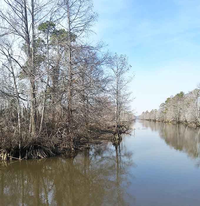 The river runs quiet and mysterious here, its tea-colored waters holding centuries of stories beneath those bare winter branches.