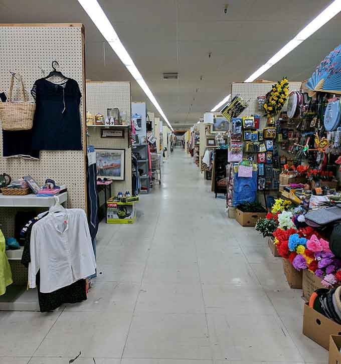 Spacious, well-kept walkways flow past vendor spaces filled with handpicked finds, perfect for slow, stress-free exploring.