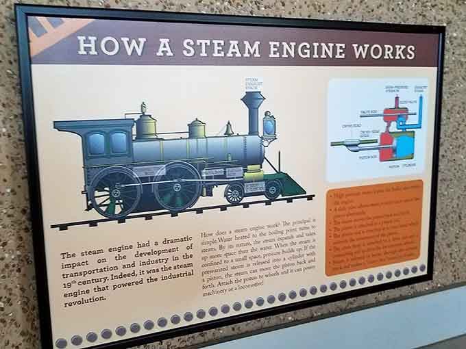 Learning how steam engines work becomes surprisingly fascinating when presented with clear diagrams and engaging explanations.