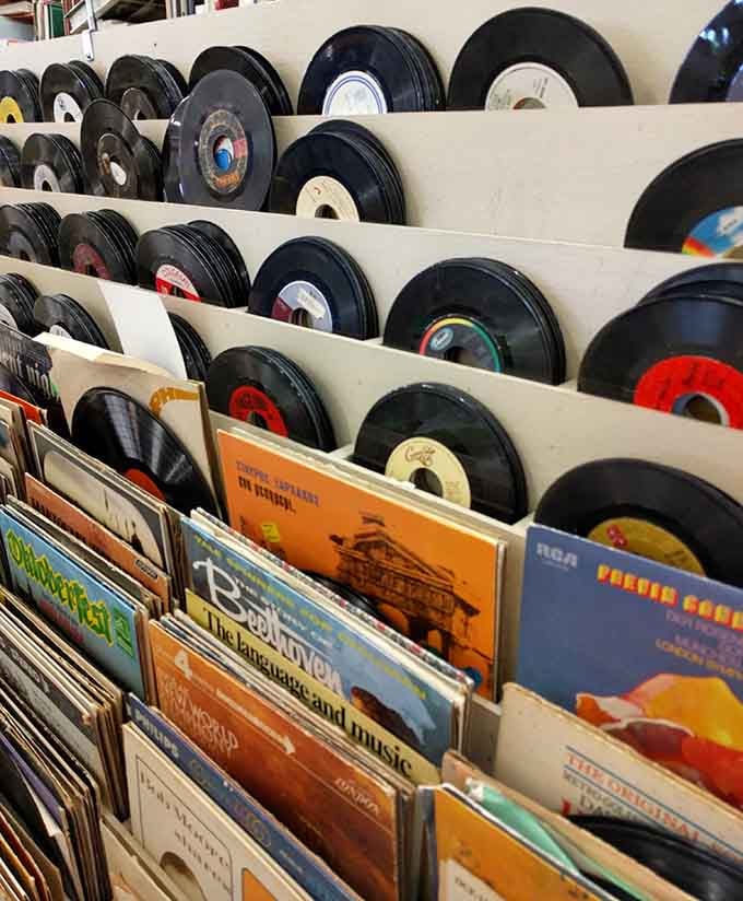 Vinyl records for collectors who remember when music came with actual album art worth studying for hours.