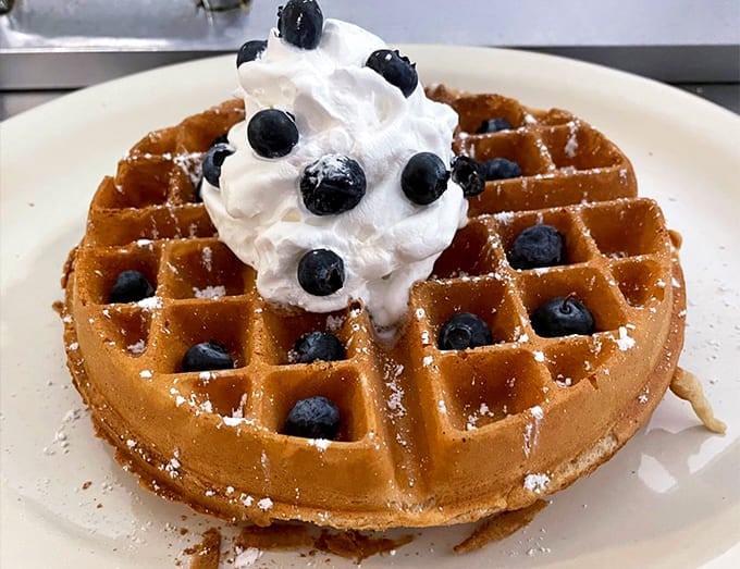 Golden waffle squares cradle fresh blueberries and whipped cream like a breakfast work of art you almost hate to eat.