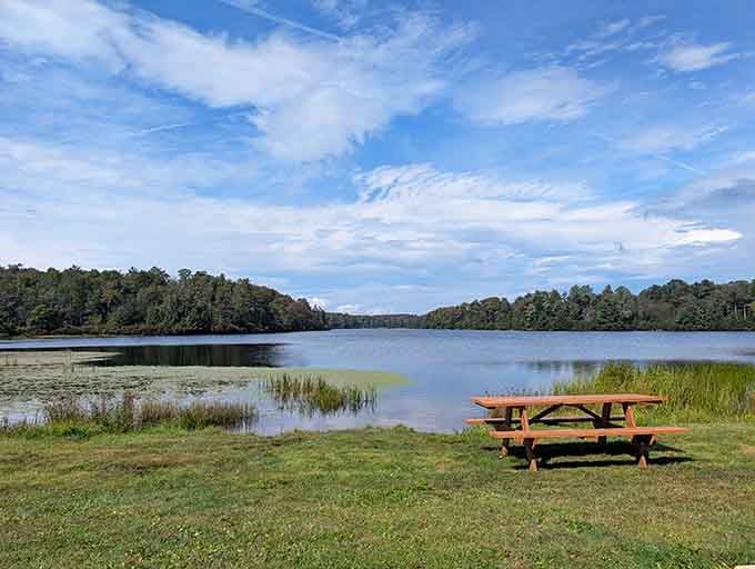 Lake Jean's shoreline picnic spots provide front-row seats to Pennsylvania's natural beauty without the stadium pricing or crowds.