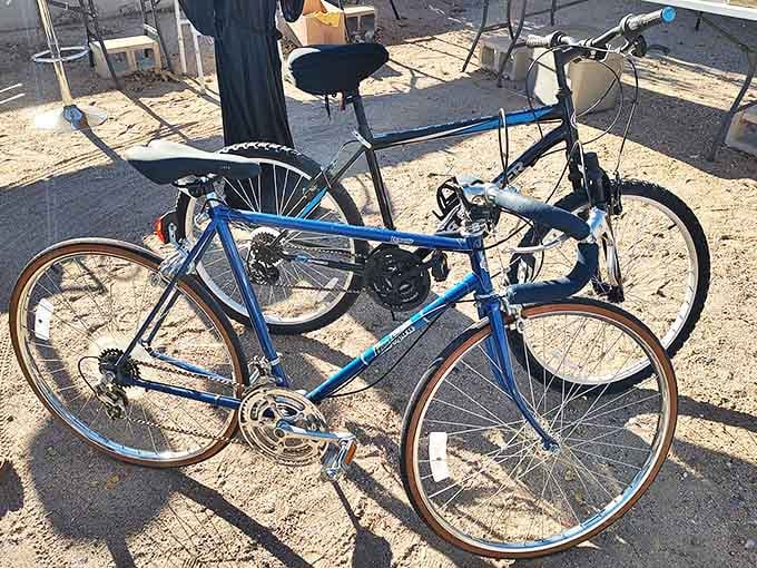 Vintage bikes basking in the Arizona sun. That blue Schwinn probably gave someone the freedom of their childhood neighborhood decades ago.