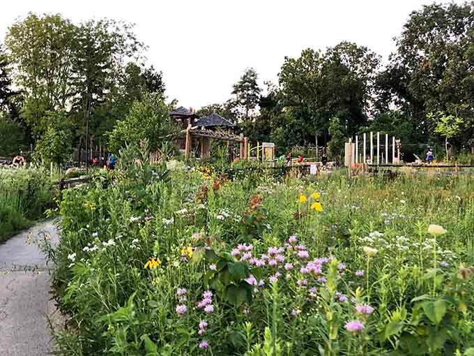 Wildflowers framing the playground like nature decided to show off its interior decorating skills for once.